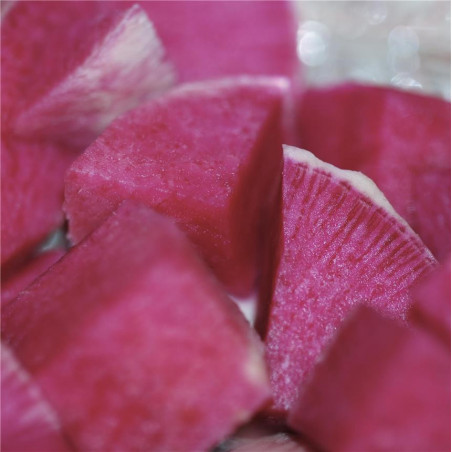 Graines de radis Red Meat 🌱 Semez ce radis japonais coloré