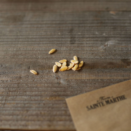 Mini-Melon Mango - Ferme Ste Marthe 🍈 Livraison Gratuite