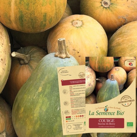 Graines Bio de Courge Sucrine du Berry 🍑 Livraison Gratuite