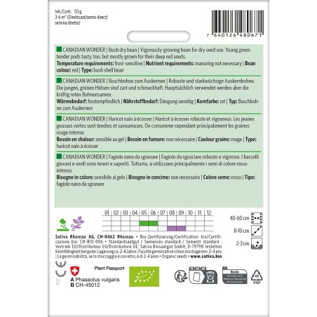 Haricot Nain Canadian Wonder Bio 🫘 Livraison Gratuite
